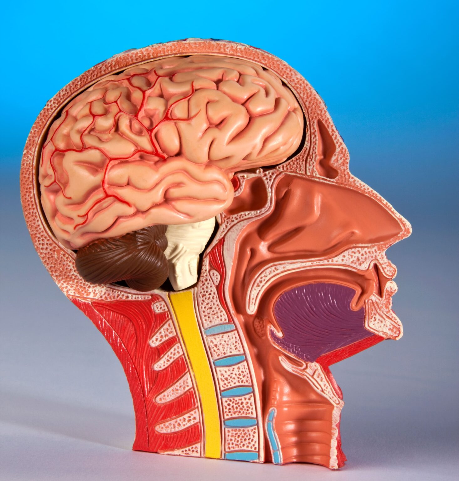 L'operatore socio-sanitario nelle RSA: ruolo e competenze